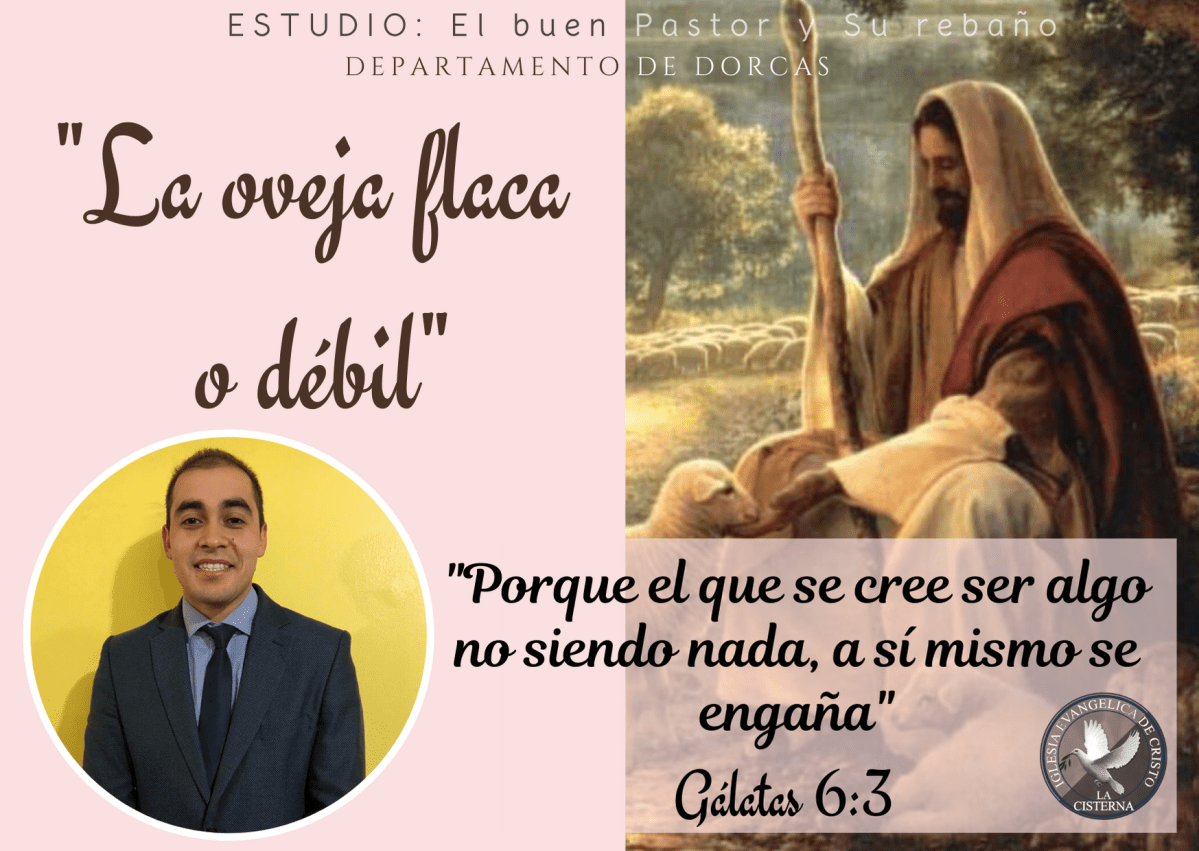 La oveja flaca o débil – Corazones transformados por Cristo